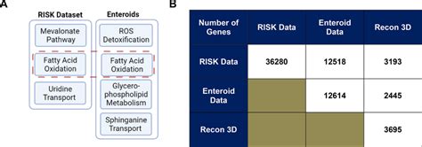 overlap between gene count data and pathways with an altered flow in