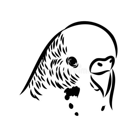 A Cute Budgie Sits On A Perch Vector Sketch Illustration For Design