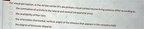 For Visual Perception In The Striate Cortex V1 Aka Primary Visual