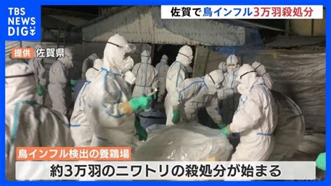 Tbs News Dig