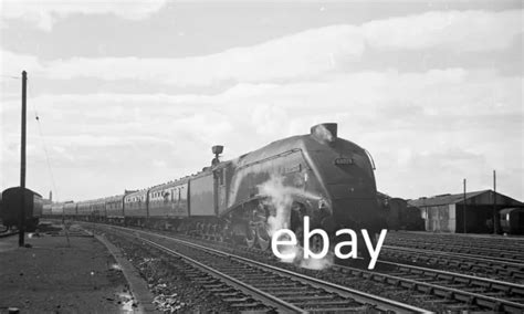 Original 35mm Negative Of Lner A4 Steam Loco 60029 At York On 2861 £