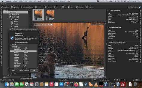 Free Open Source Photo Manager DigiKam Gets A Big Update PetaPixel