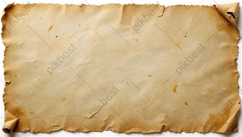Aged Parchment Scroll Texture On White Background Backgrounds Png