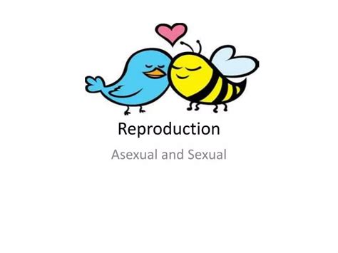 Ppt Reproduction Powerpoint Presentation Free Download Id2559215