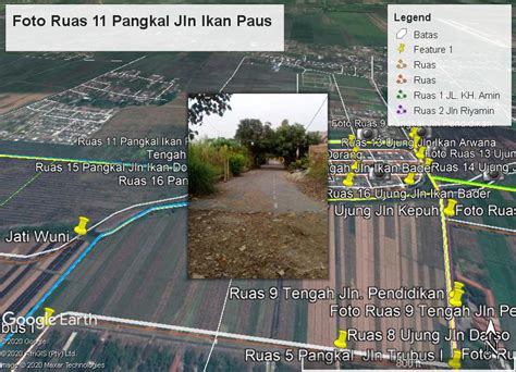 Foto Ruas 11 Pangkal Ikan Paus Album On Imgur