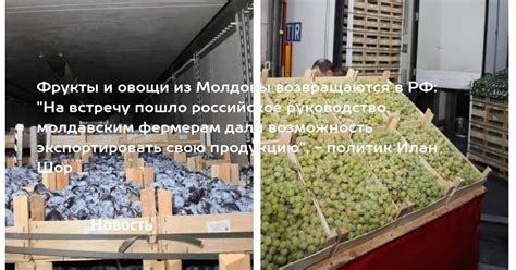 Фрукты и овощи из Молдовы возвращаются в РФ На встречу пошло российское руководство