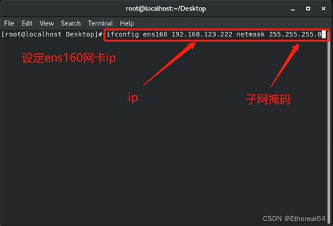 Linux Linux Csdn