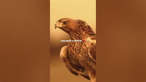 गुरुअकद तोड़नी है उन मंजिलों की जिन्हे अपनी उचाइयों पर घमंड है 💯⚔️🔥