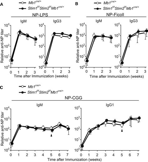 The Calcium Sensors Stim1 And Stim2 Control B Cell Regulatory Function
