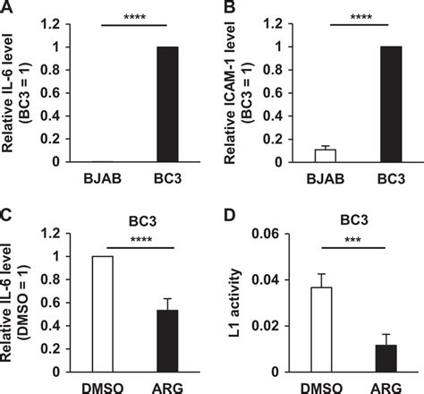 Nf κb Activity Is Required For The Kshv Mediated Enhancement Of L1