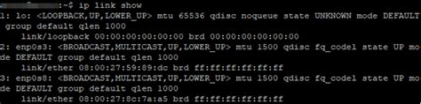 Connecting Servers To A VLAN INTROSERV
