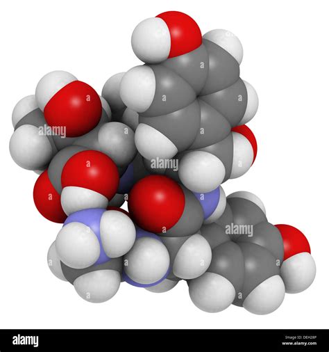 Gluten Exorphin A5 Molecule Chemical Structure Wheat Gluten Digestion