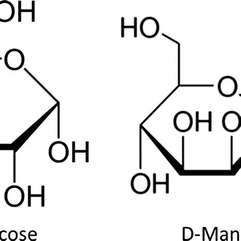 Chemical Structure Of D Glucose And D Mannose Download Scientific