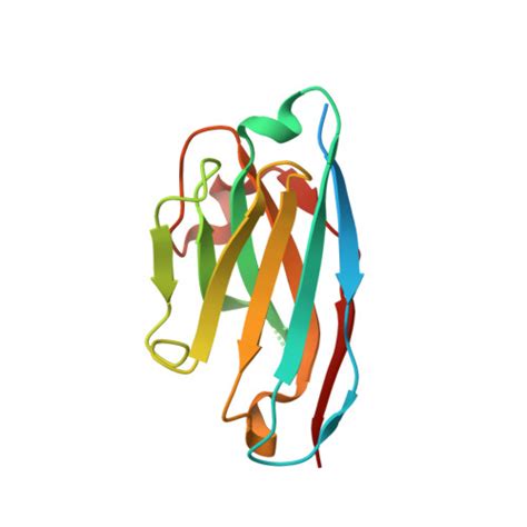 Rcsb Pdb 7sak Crystal Structure Of Lam4 Nanobody Bound To Mcherry
