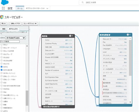 Salesforceの標準オブジェクト・カスタムオブジェクト・リレーションを分かりやすく説明します Salesforce Qiita