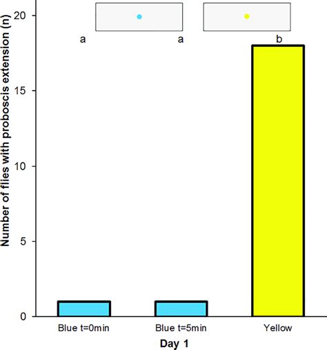 Extreme Differential Conditioning Of The Proboscis Reflex Frequency Of