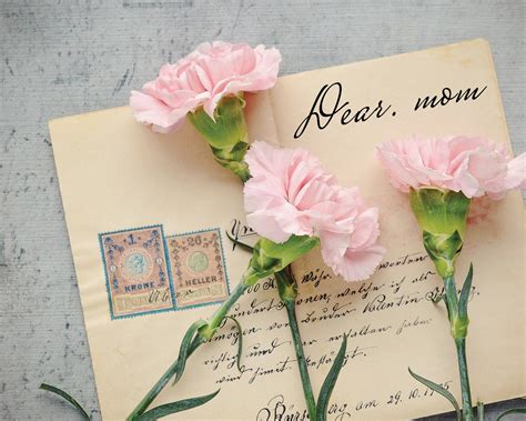 Fancy Cursive Letter Practice For Adult Handwriting Download Now Etsy