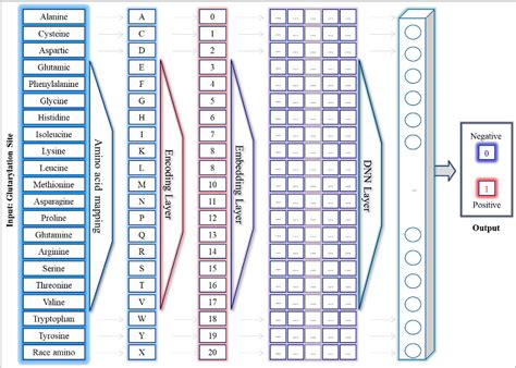 Figure 2 From Deep Neural Network Framework Based On Word Embedding For