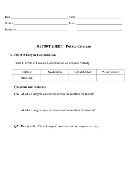 date section instructor name team report sheet potato
