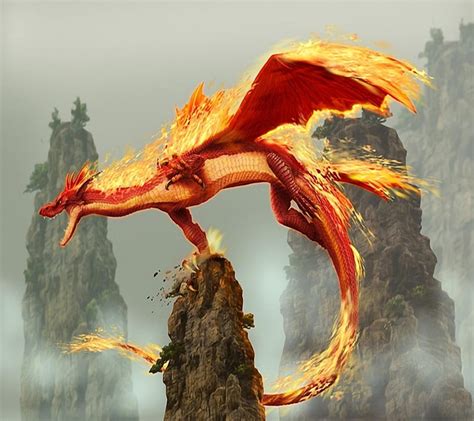 Fire Dragon Dragon Fire Hd Wallpaper Peakpx