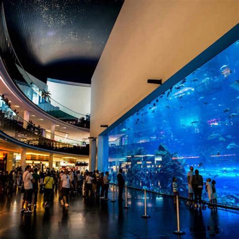 Nipun Ranasinghe Ranasinghe Nipun • Instagram Photos And Videos