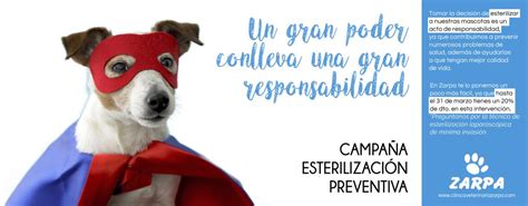 Campaña Esterilización Preventiva 2023 Clínica Veterinaria Zarpa