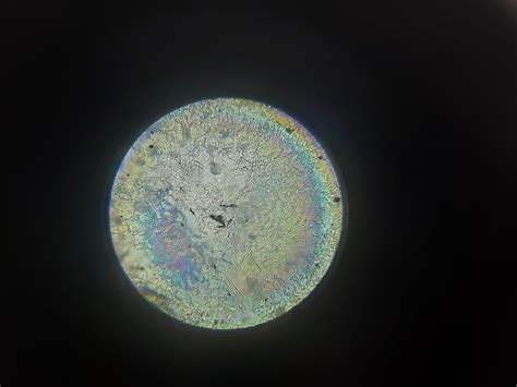 Microscopic Sodium Molybdate Crystals Rcrystalgrowing