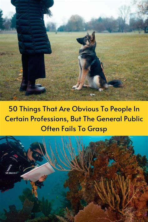 50 things that are obvious to people in certain professions but the