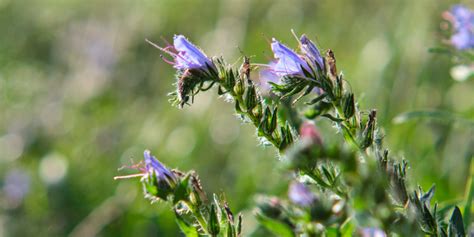 where should i present syslog ng and sudo blog syslog ng community syslog ng community