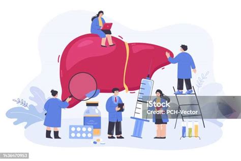 거대한 인간 간 플랫 벡터 일러스트레이션을 분석하는 작은 의사 생검에 대한 스톡 벡터 아트 및 기타 이미지 생검 간 내부