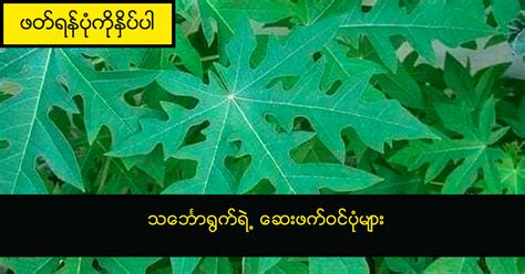 သင်္ဘောရွက်ရဲ့ ဆေးဖက်ဝင်ပုံများ Moe Nat Min