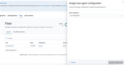 Ingest Manager Cant Assign Configuration · Issue 65671 · Elastic