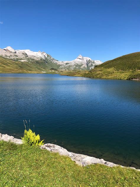 Wie Schön Ist Denn Unsere 🇨🇭 Patrik Schwizer