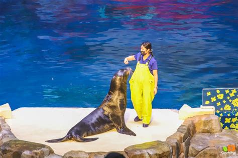 제주도 아이와 가볼만한곳 제주 어린이 체험 제주 아쿠아플라넷 외 네이버 블로그