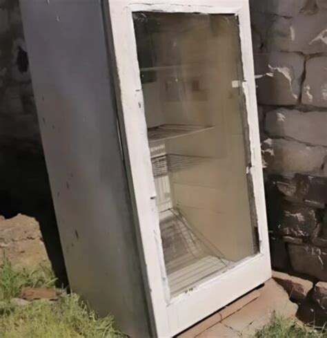 Mi vecino decidió modificar completamente su viejo refrigerador y el