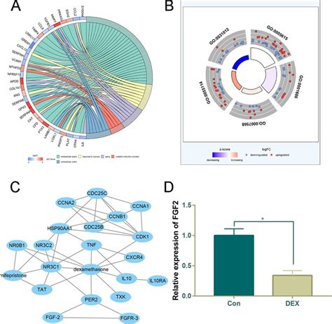 A Chord Diagram That Presents The Degs Linked Via Ribbons To Their