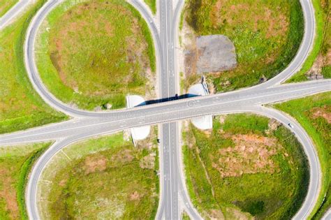 Clover On Road Stock Photo Image Of Leaves Wild Nature 5025814