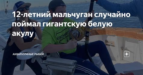 12 летний мальчуган случайно поймал гигантскую белую акулу
