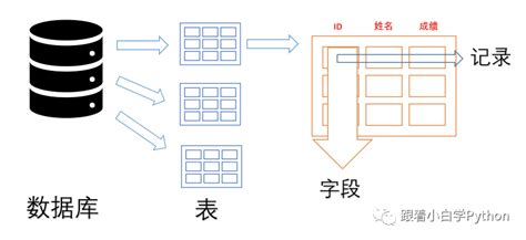 Sql Sql