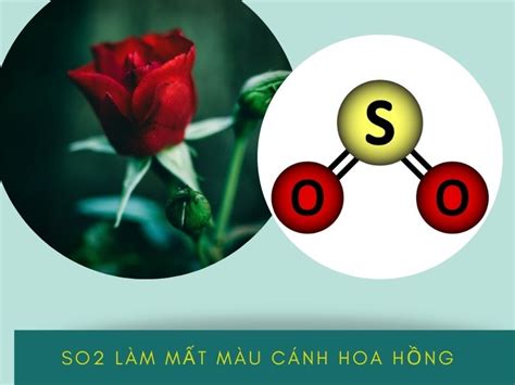 Cách Nhận Biết Co2 Và So2 Làm Sao Để Phân Biệt Hai Khí