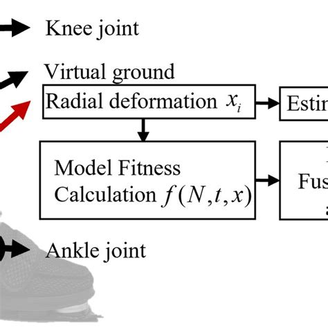 Pdf An Imu Based Ground Reaction Force Estimation Method And Its Application In Walking
