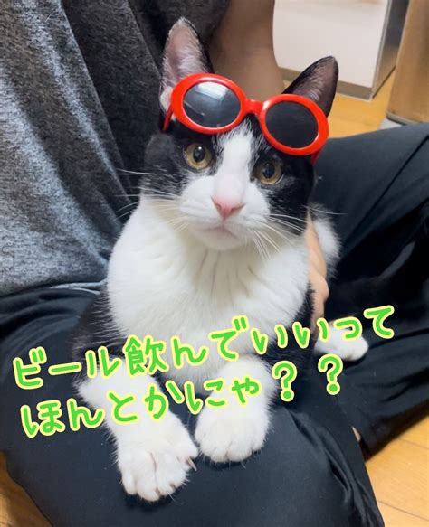 お酒は太らない！！その理由oo 薬舗さくら