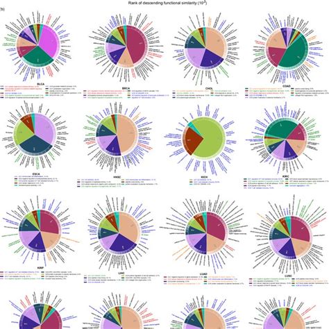 Performance Of The Ensemble Learning Model A Overview Of The Model