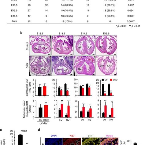 Cardiac Specific Deletion Of Tet2 And Tet3 Resulted In Developmental