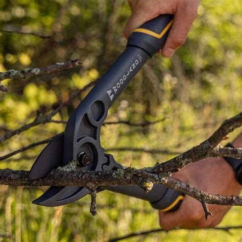 6 Essential Pruning Tools Guide To Garden Pruning Equipment Garden Design