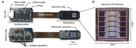 Combining Convolutional Neural Network With Computational Neuroscience