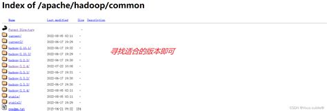 Hadoop国内镜像下载地址hadoop镜像下载 Csdn博客
