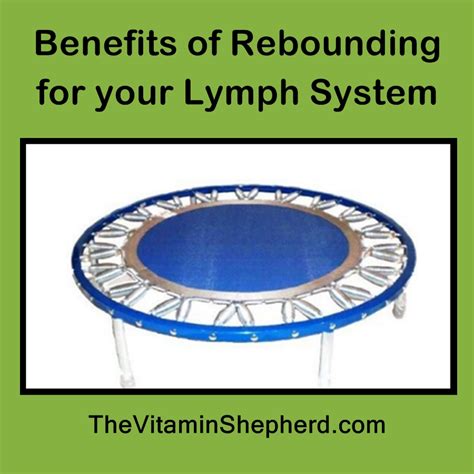 4 Ways Rebounding Benefits Your Lymph System Vitamin Shepherd