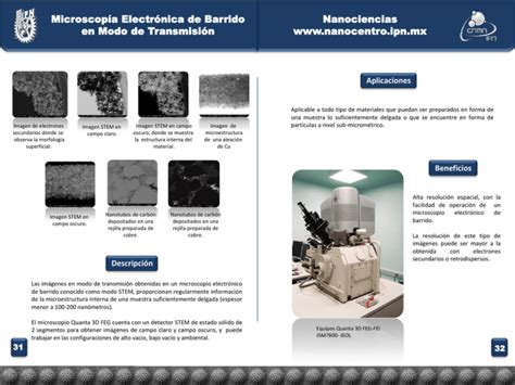 Microscopia Electronica De Barrido En Modo De Transmision