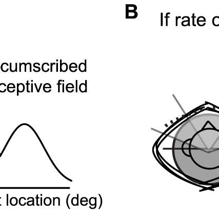 Different Spatial Coding Formats When Sampling Of Space Must Be Download Scientific Diagram